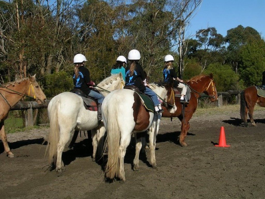 Darkes Forest Riding Ranch | Destination Wollongong