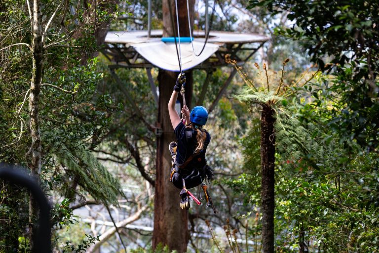 Illawarra Fly Treetop Adventures – Destination Wollongong