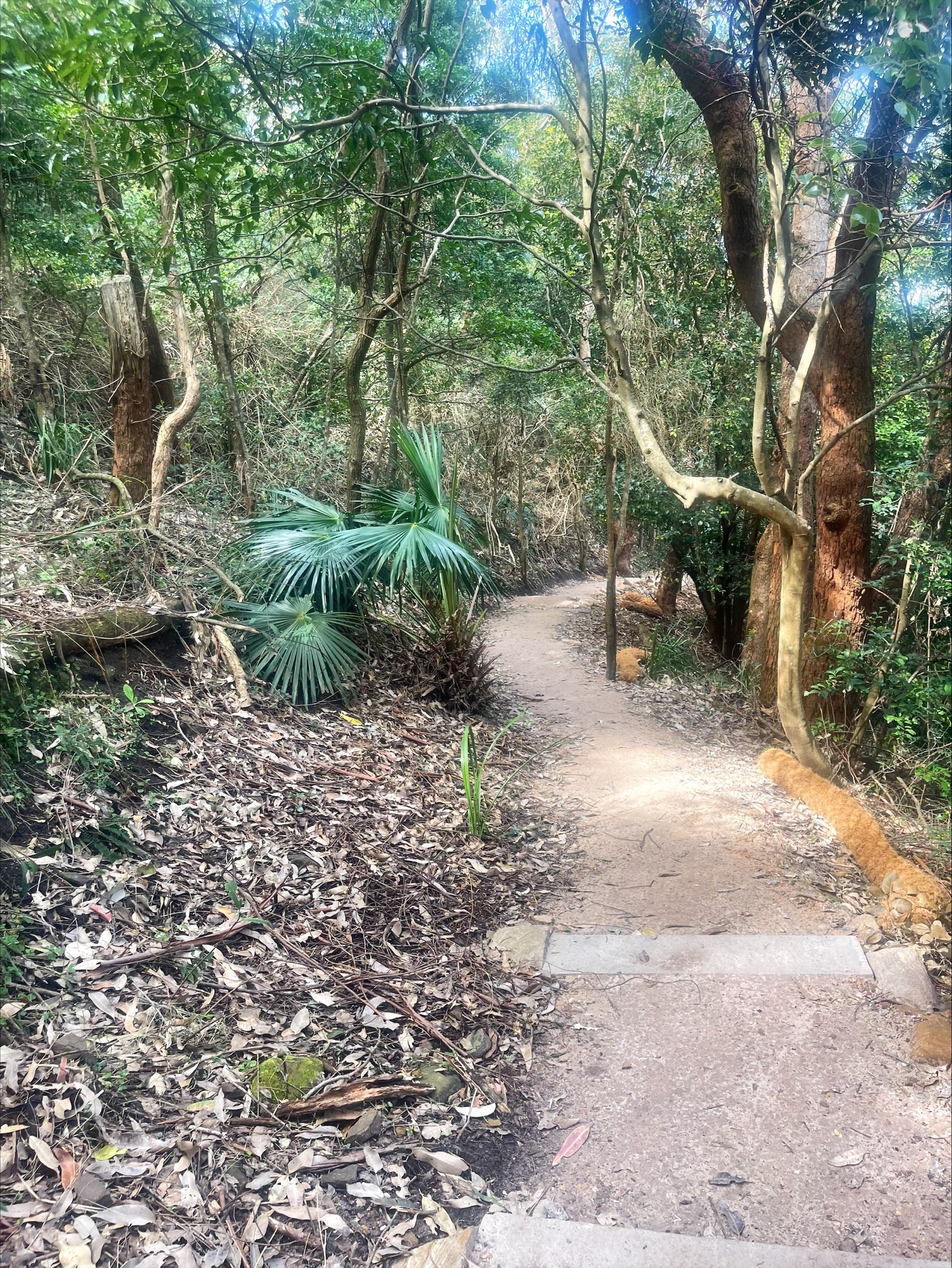 Bald Hill Lookout - Otford | Destination Wollongong