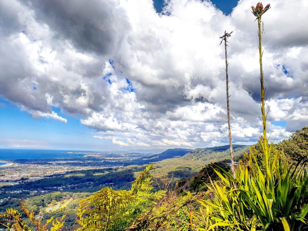 Bush Walking & Trails | Destination Wollongong