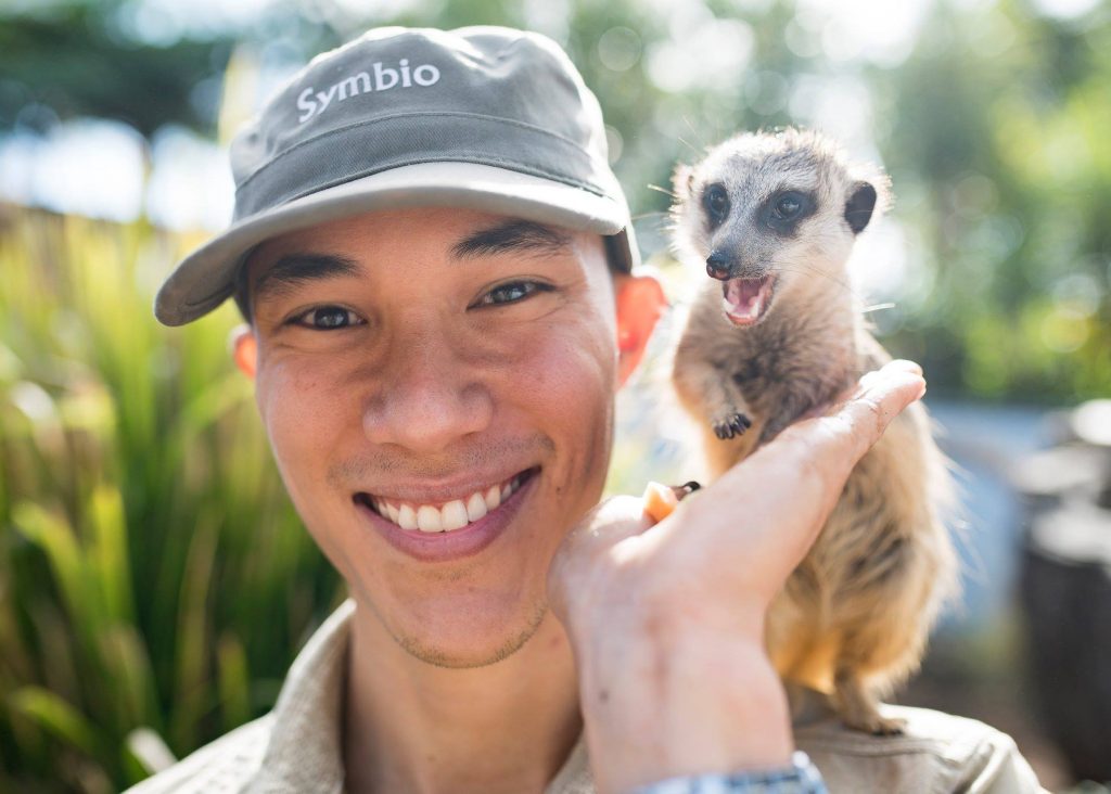 Destination Wollongong – press play