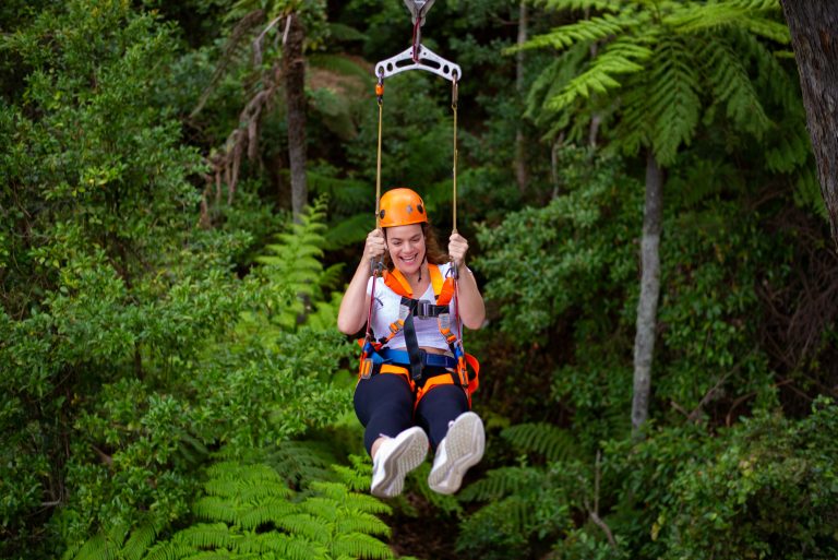 Illawarra Fly Treetop Adventures – Destination Wollongong