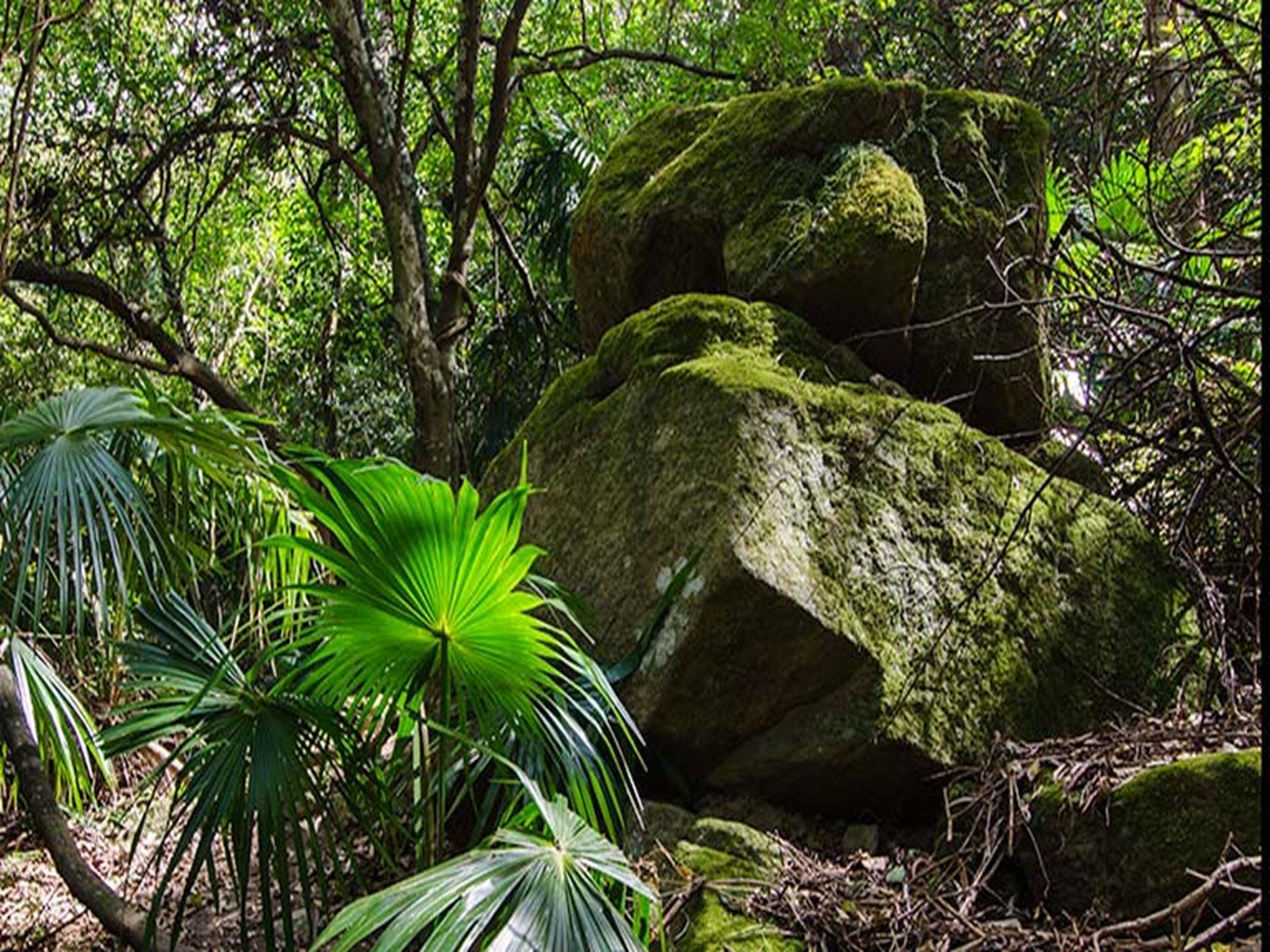 Illawarra Escarpment State Conservation Area – Destination Wollongong