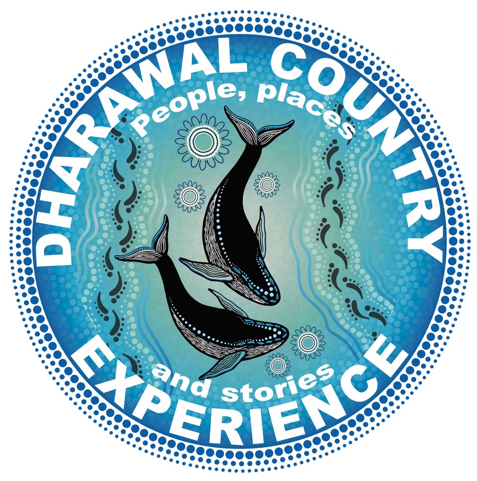 Dharawal Country Experience | Destination Wollongong