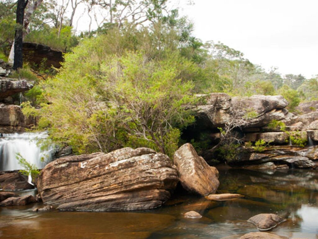 Dharawal National Park | Destination Wollongong