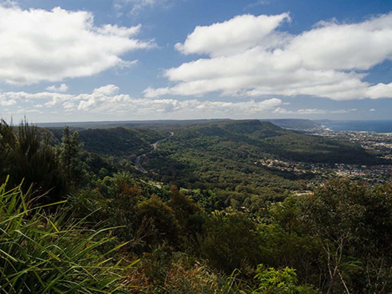 Illawarra Escarpment State Conservation Area | Destination Wollongong
